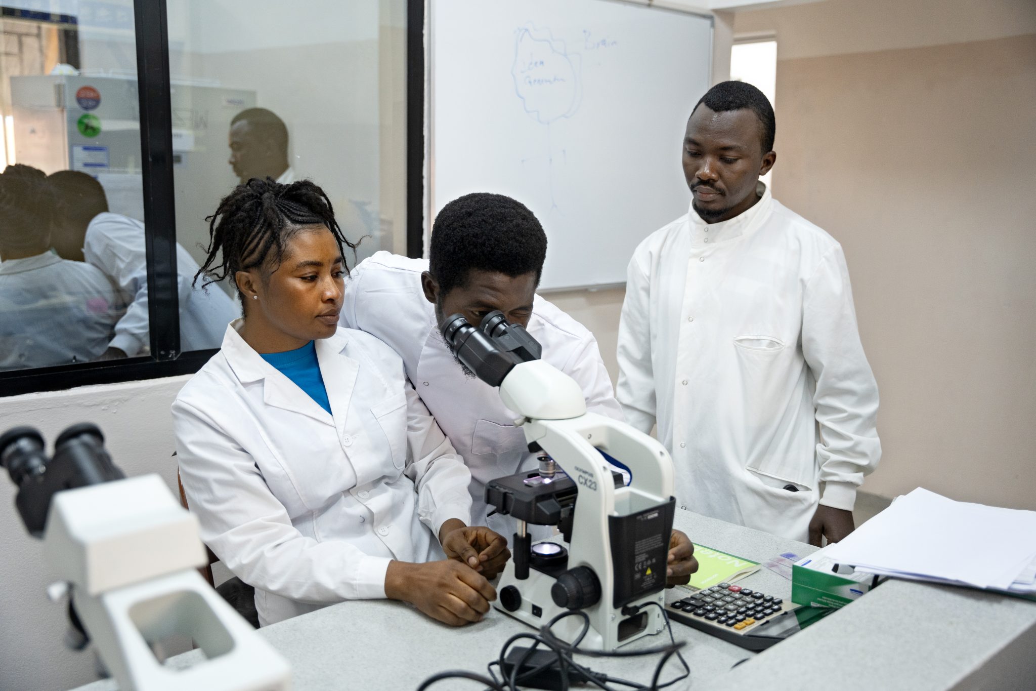Leveraging Equity and Advancement in Practice (LEAP) – University of ...